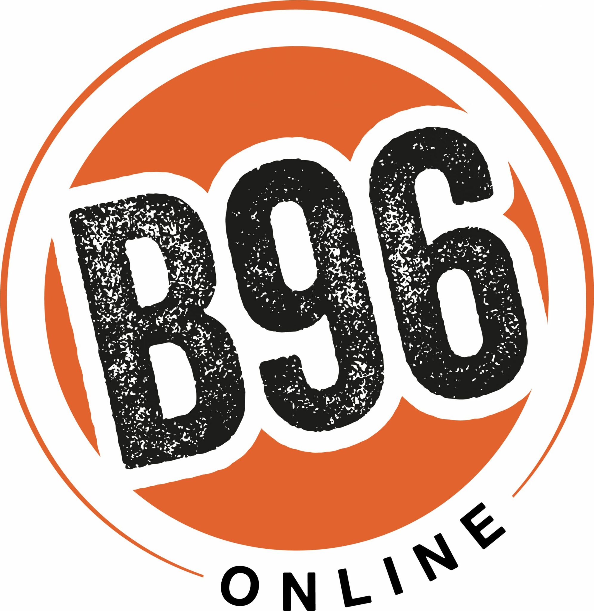 b96-online.de